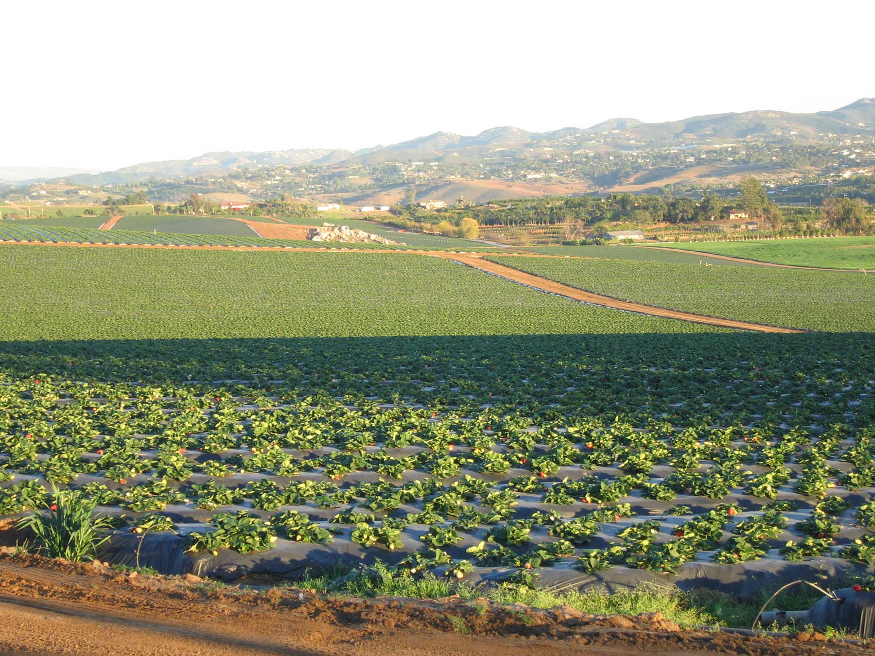 The San Diego County Farm Bureau
